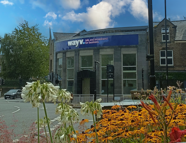 Case Study Archives - Wayv.